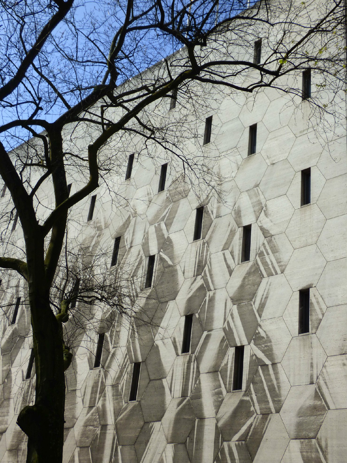 Street art a Rotterdam, una vera sorpresa – Treeaveller